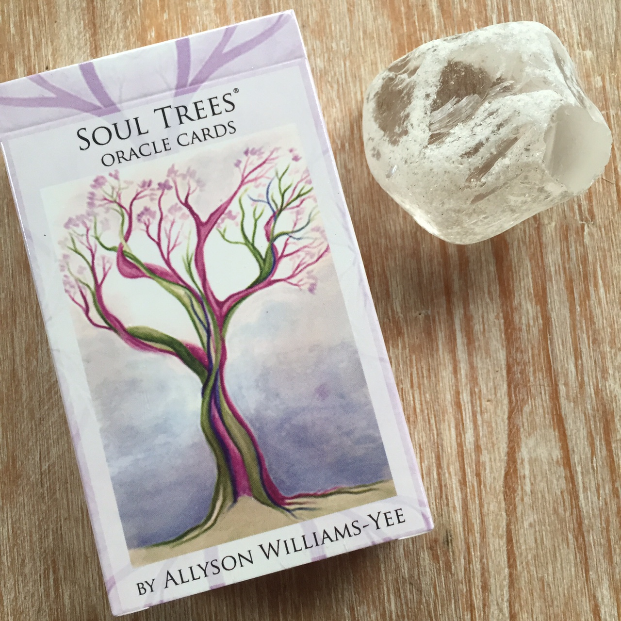 Interview with Allyson Williams-Yee - Creator of Soul Trees Oracle Cards